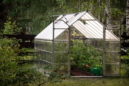 Comment choisir la meilleure serre de jardin?